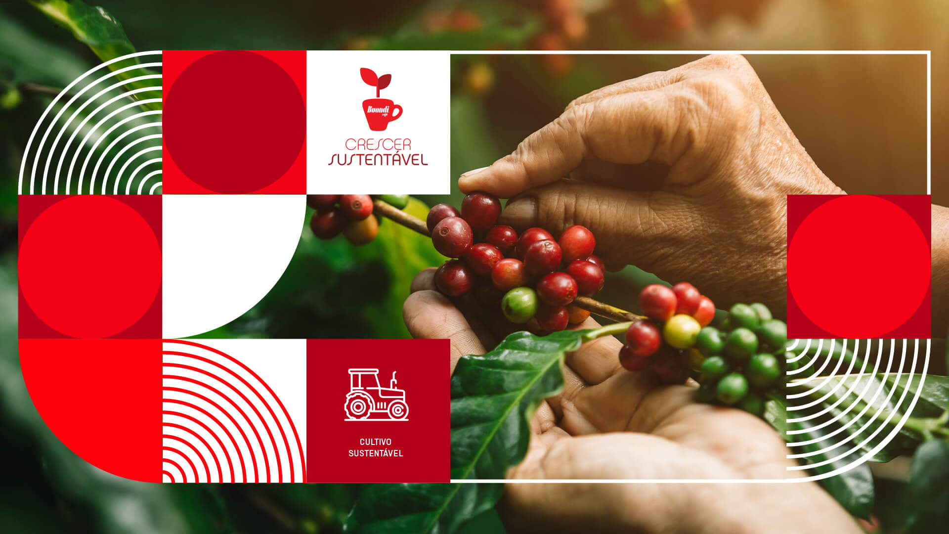 Responsibly Sourced Coffee | Buondi