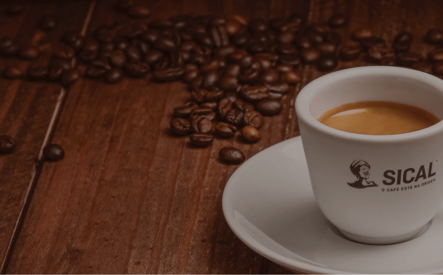 SICAL 75 anos: um futuro sustentável | Sical